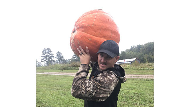 All in the Family: Condrey’s Pumpkins part of long tradition | The ...